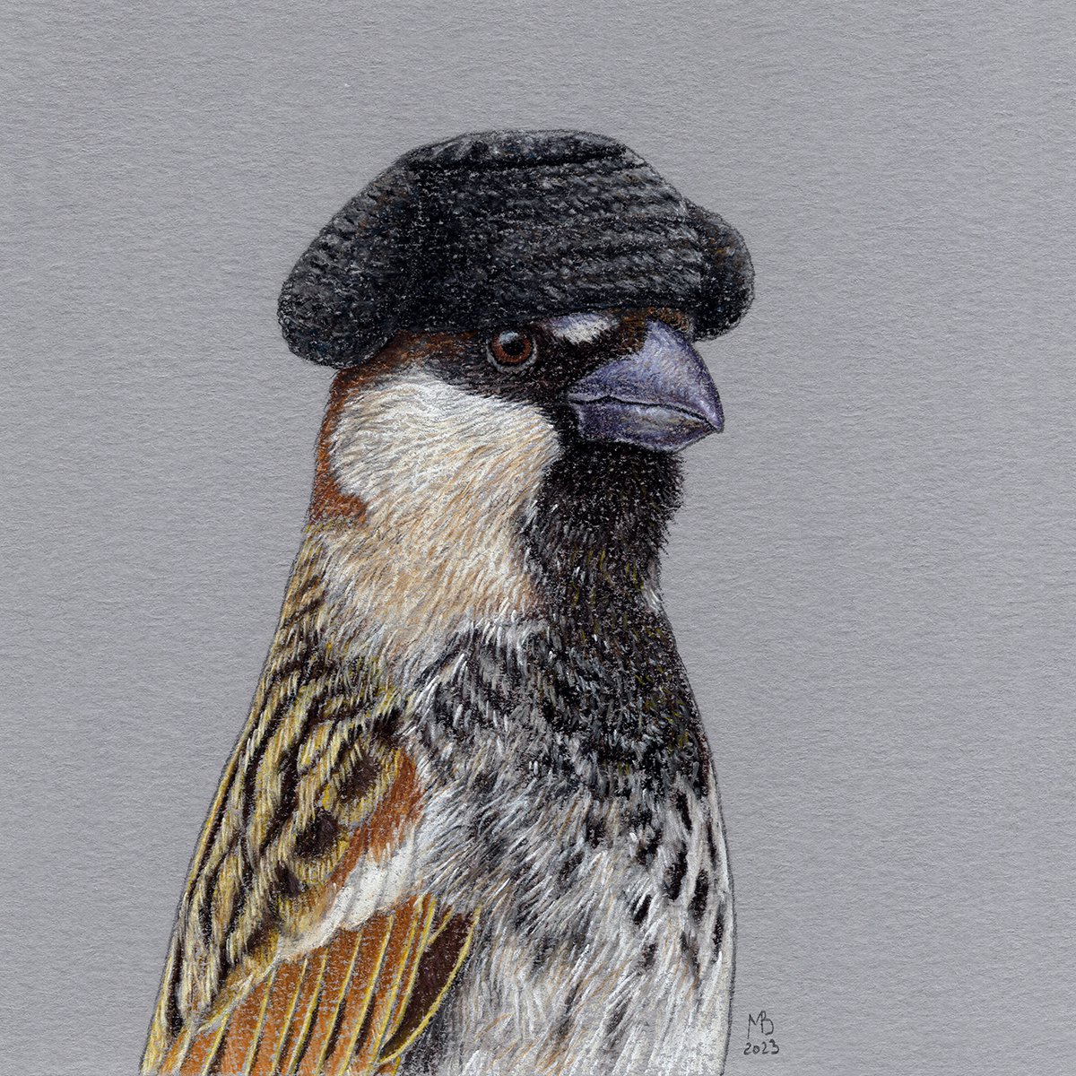Spanish sparrow Pastel drawing by Mikhail Vedernikov | Artfinder