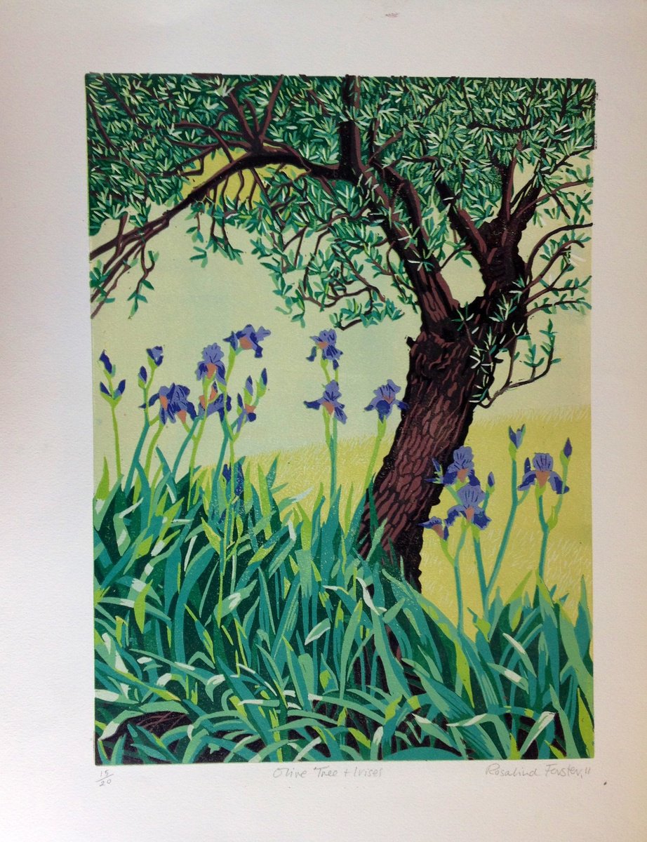 Olive tree and Irises Linocut: Rosalind Forster | Artfinder