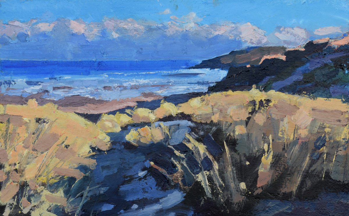 Afternoon at the coast Oil painting: Goran Žigolić Watercolors | Artfinder