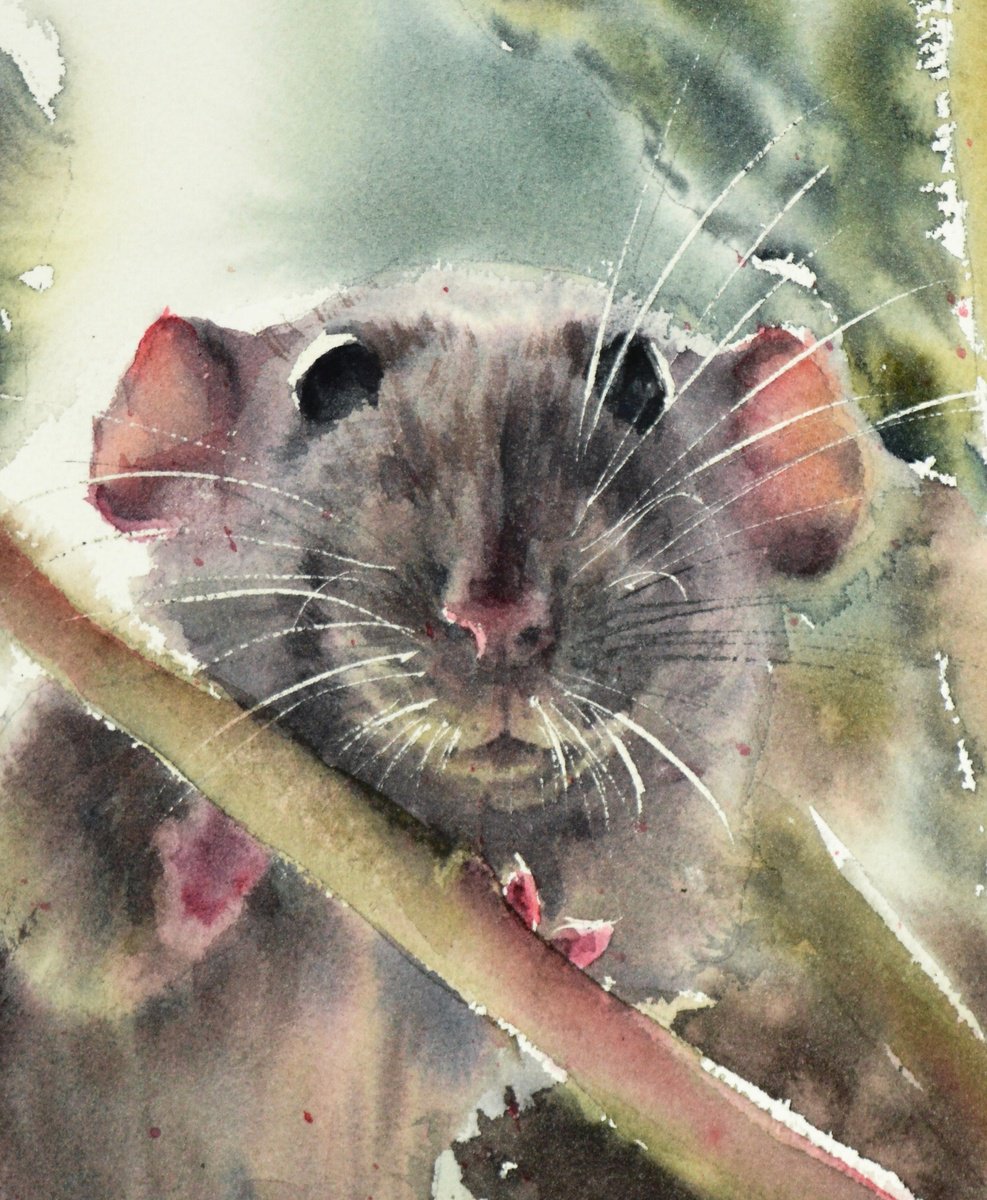 Rat Lilu Watercolour by Lida Duchnewitsch | Artfinder