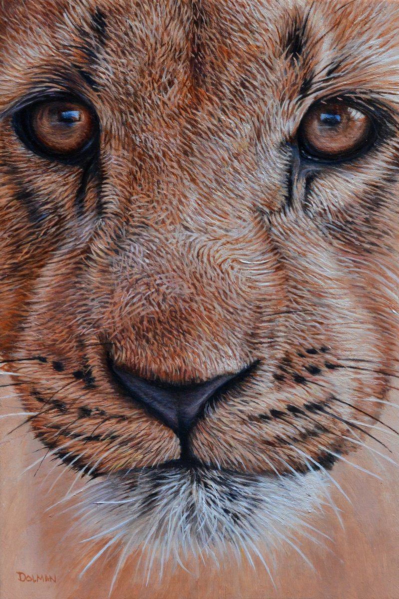 Simba Oil painting by Sam Dolman | Artfinder