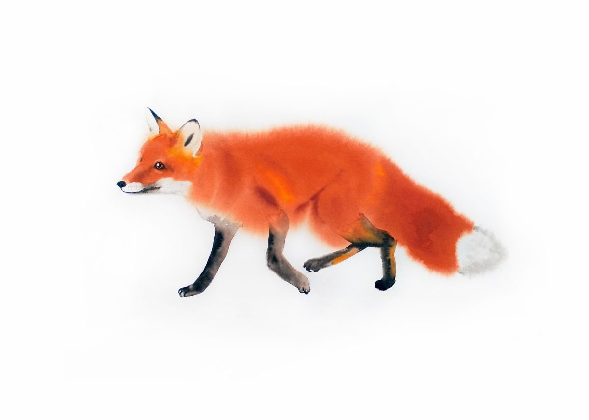 Sly Fox by Olga Beliaeva Watercolour | Artfinder