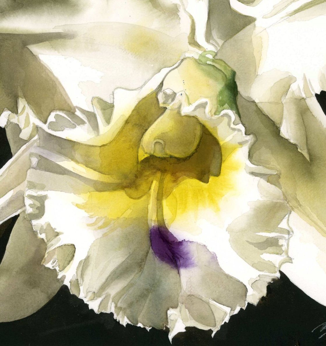 a touch of violet Watercolour: Alfred Ng | Artfinder