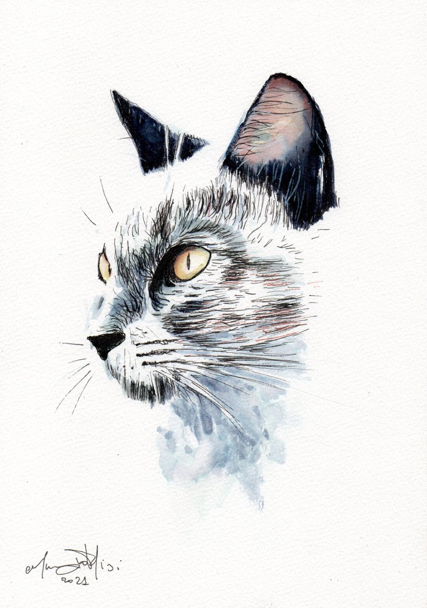 Mister Gray Ink drawing by Maurizio Puglisi | Artfinder