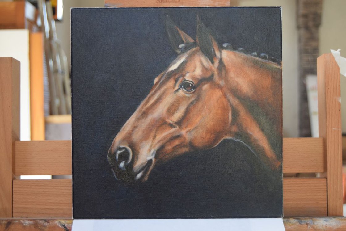 Study of a hunter - Trakehner Oil painting: Karen Sloan | Artfinder