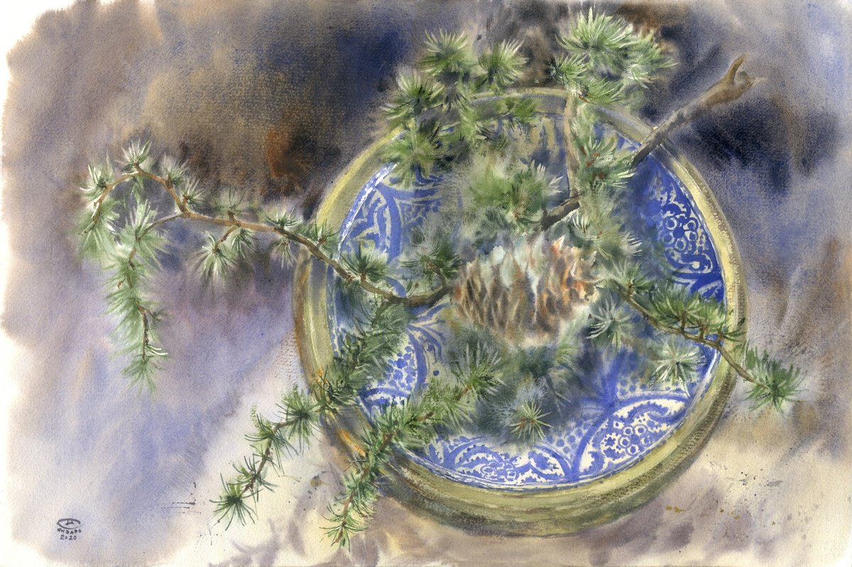 Still life with a cedar branch. Watercolour by Tatyana Tokareva | Artfinder
