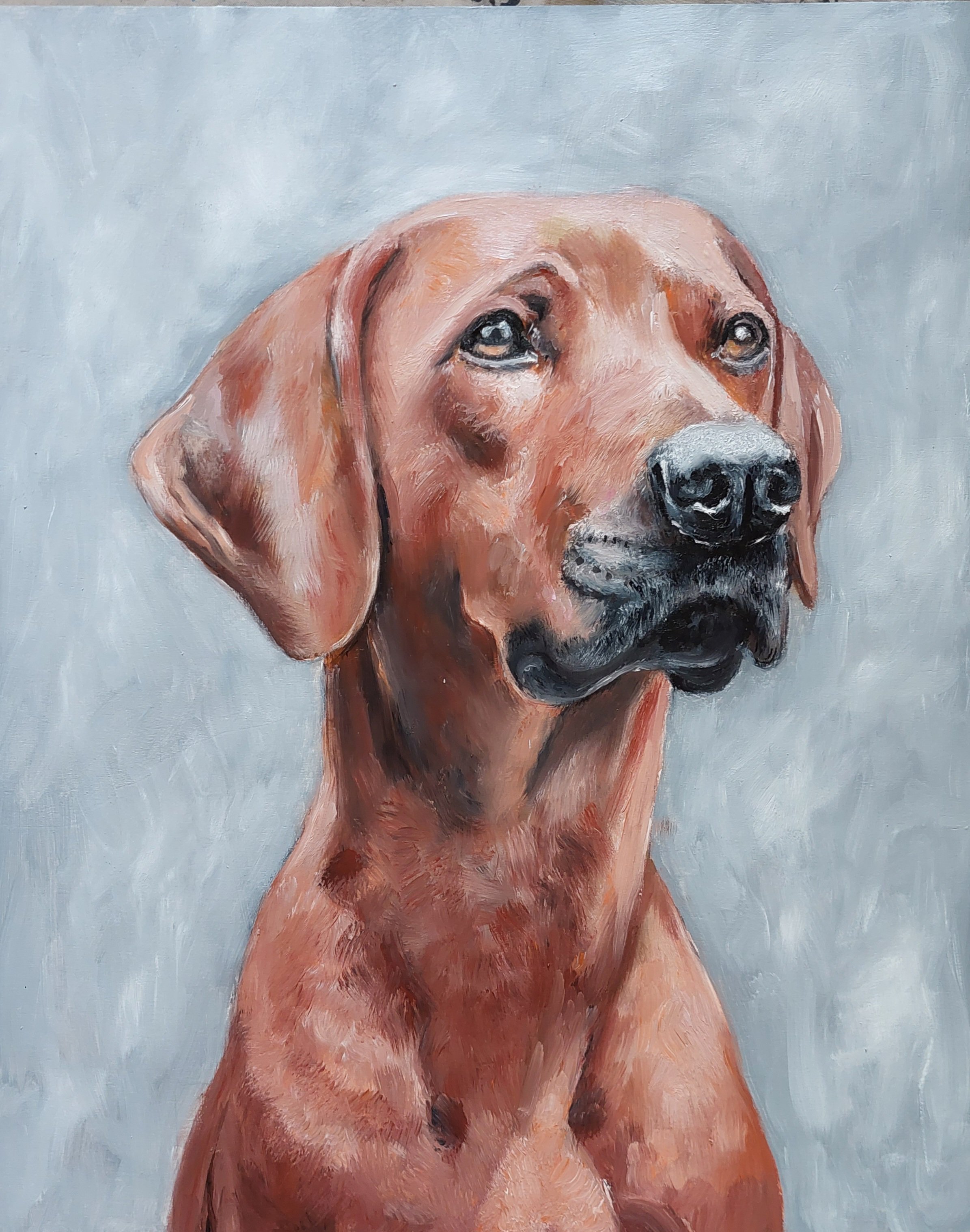 Rhodesian Ridgeback Oil painting by Els Driesen | Artfinder