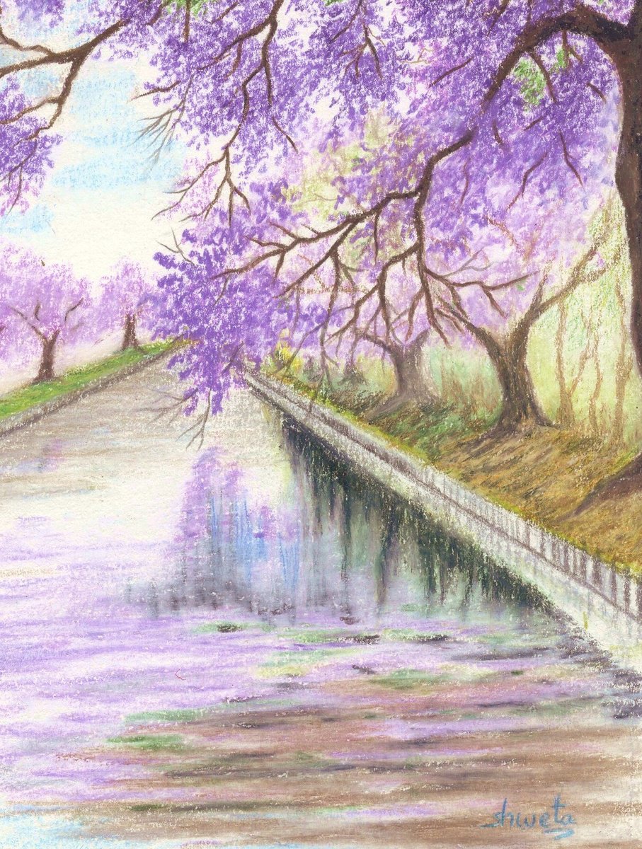 Tree lined canal Pencil drawing by Shweta Mahajan | Artfinder
