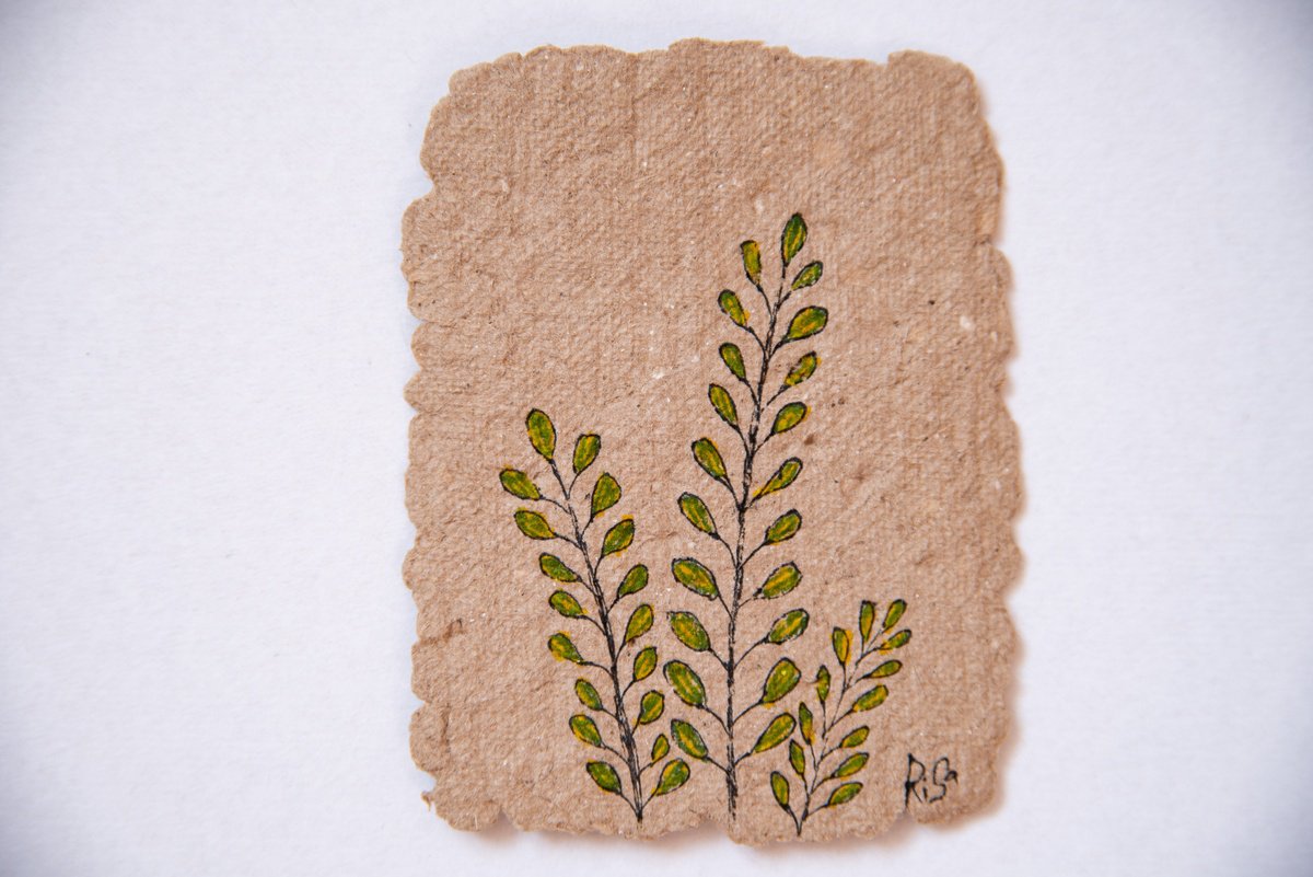 Twigs simle line drawing Ink drawing by Rimma Savina | Artfinder