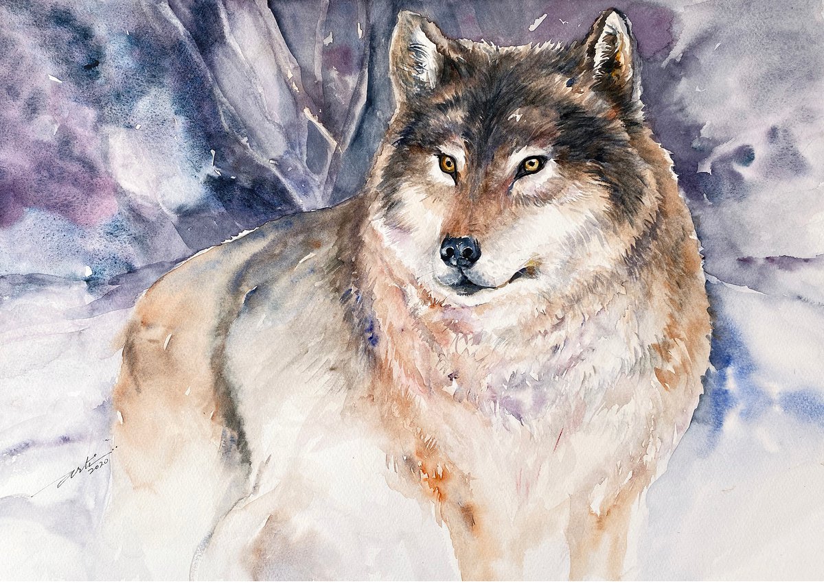 Gray Wolf Zoltan Watercolour: Arti Chauhan | Artfinder