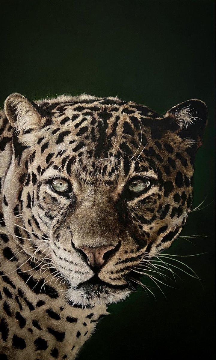 Dark Leopard Acrylic painting by Paul Hardern | Artfinder