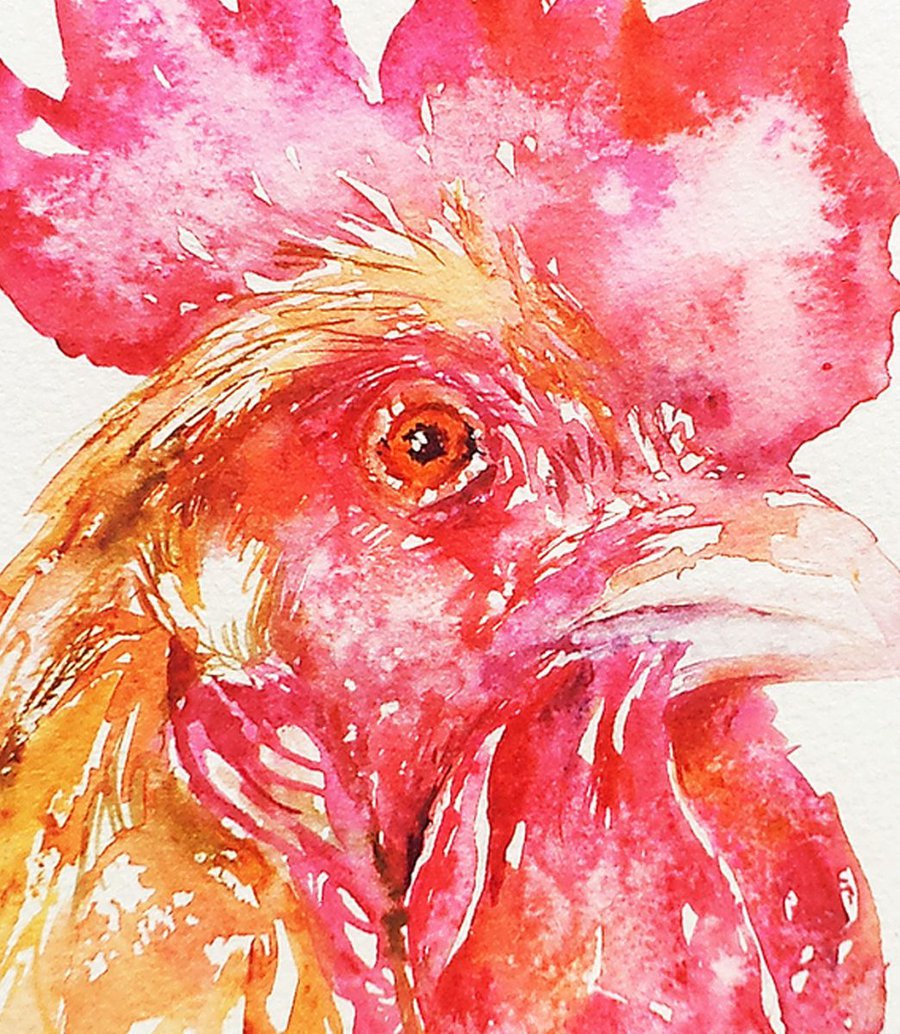 Red Ross Rooster Watercolour: Arti Chauhan | Artfinder