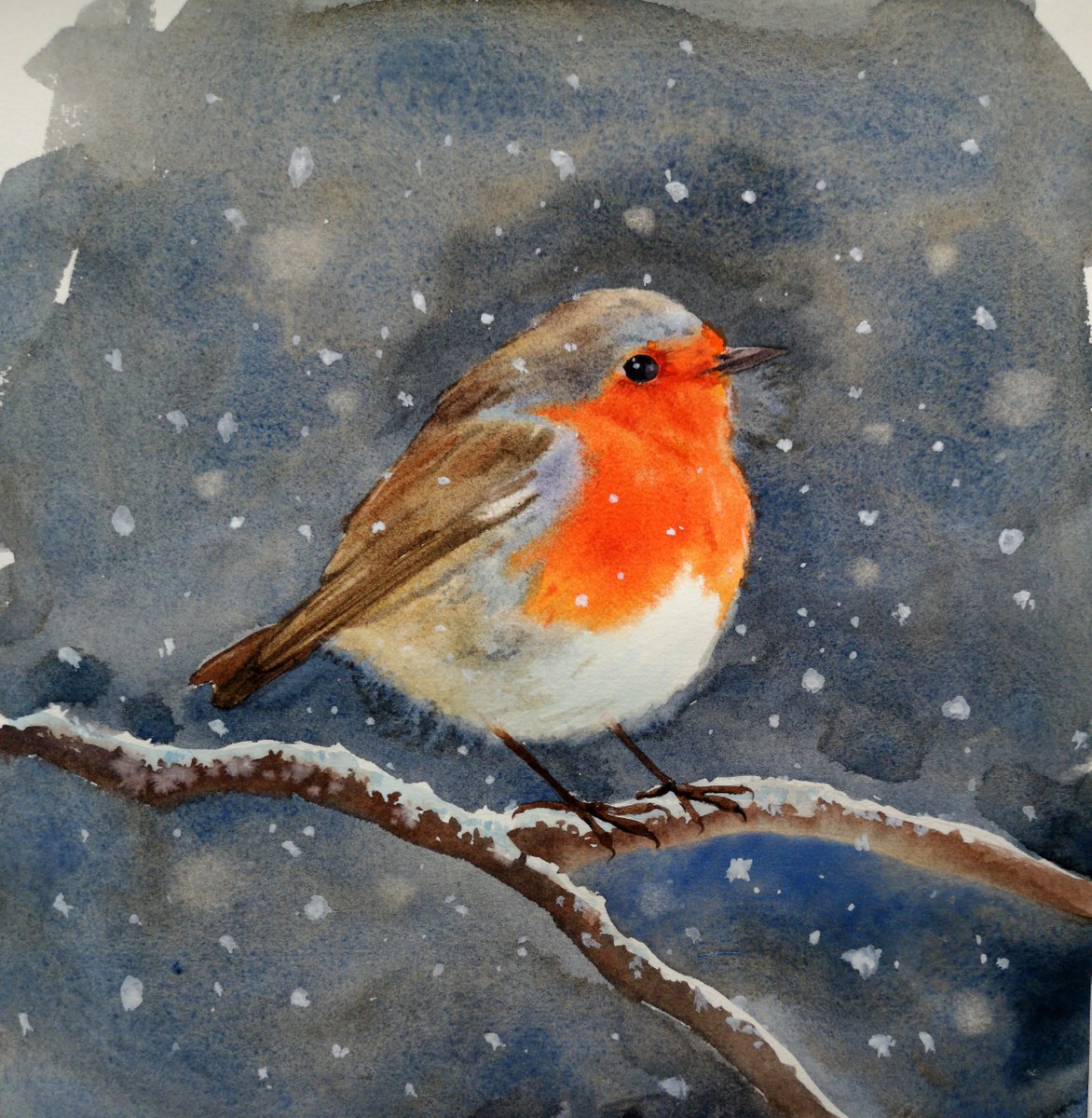 Original Watercolour Robin Bird Painting Watercolour by Olga Beliaeva ...
