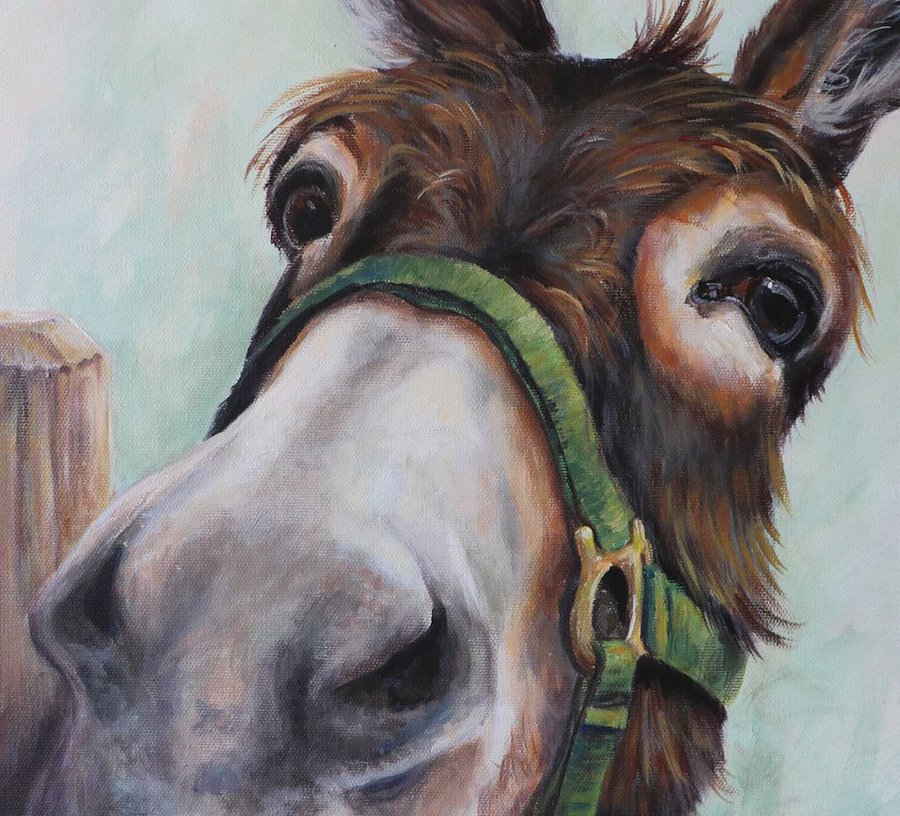 Over the Fence Acrylic painting: Ruth Aslett | Artfinder