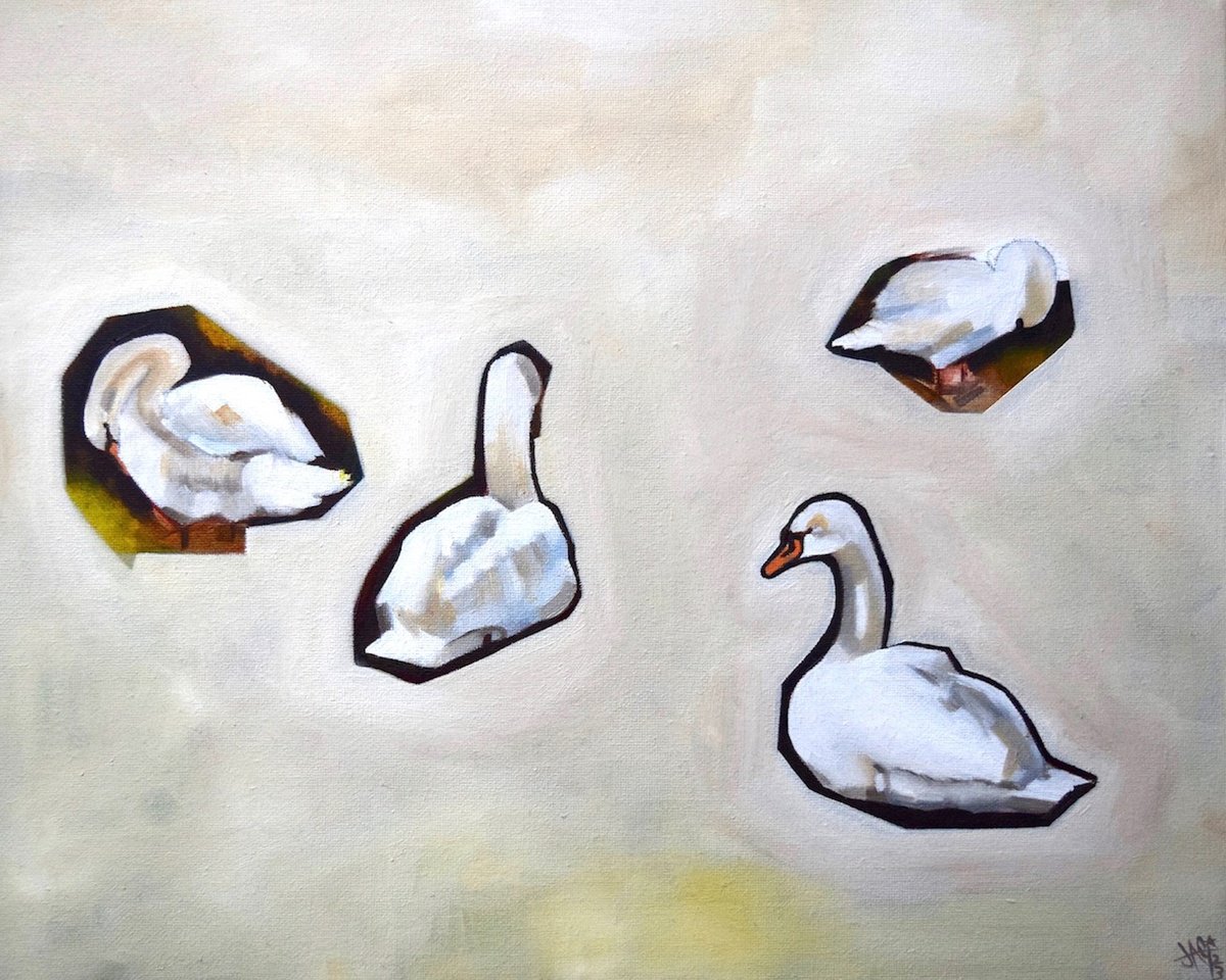 Swan Study Oil painting by Jem Gooding | Artfinder