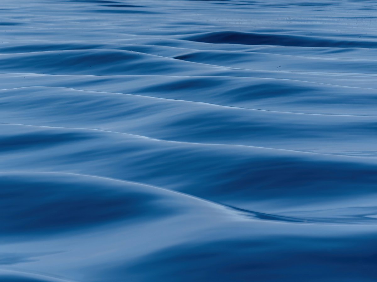 BLUE MARINE Photograph: Fabio Accorrà | Artfinder