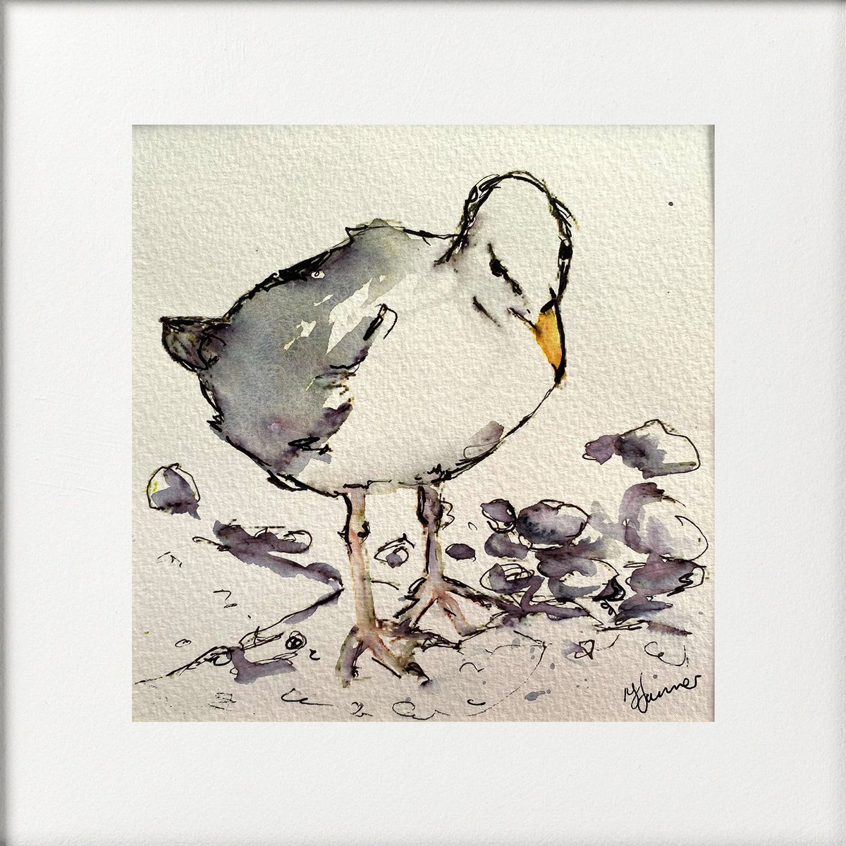 Seagull Watercolour: Teresa Tanner | Artfinder