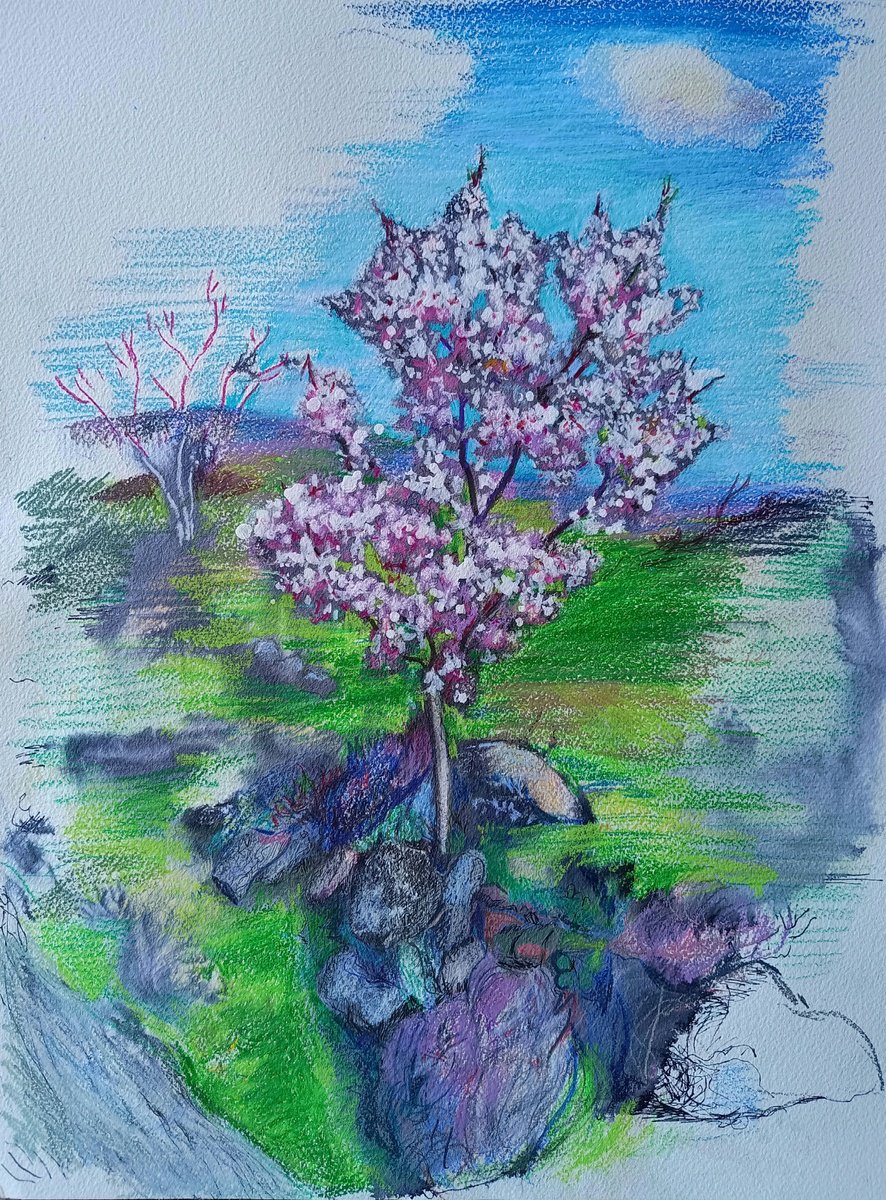 Spring Pencil drawing: Marina Del Pozo | Artfinder