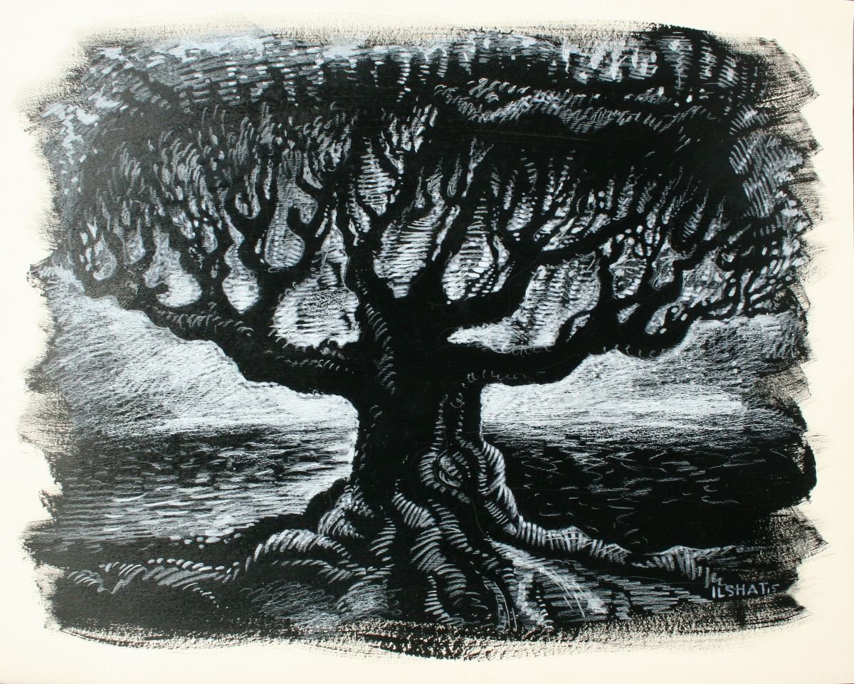 Oak tree. Pencil drawing by Ilshat Nayilovich | Artfinder