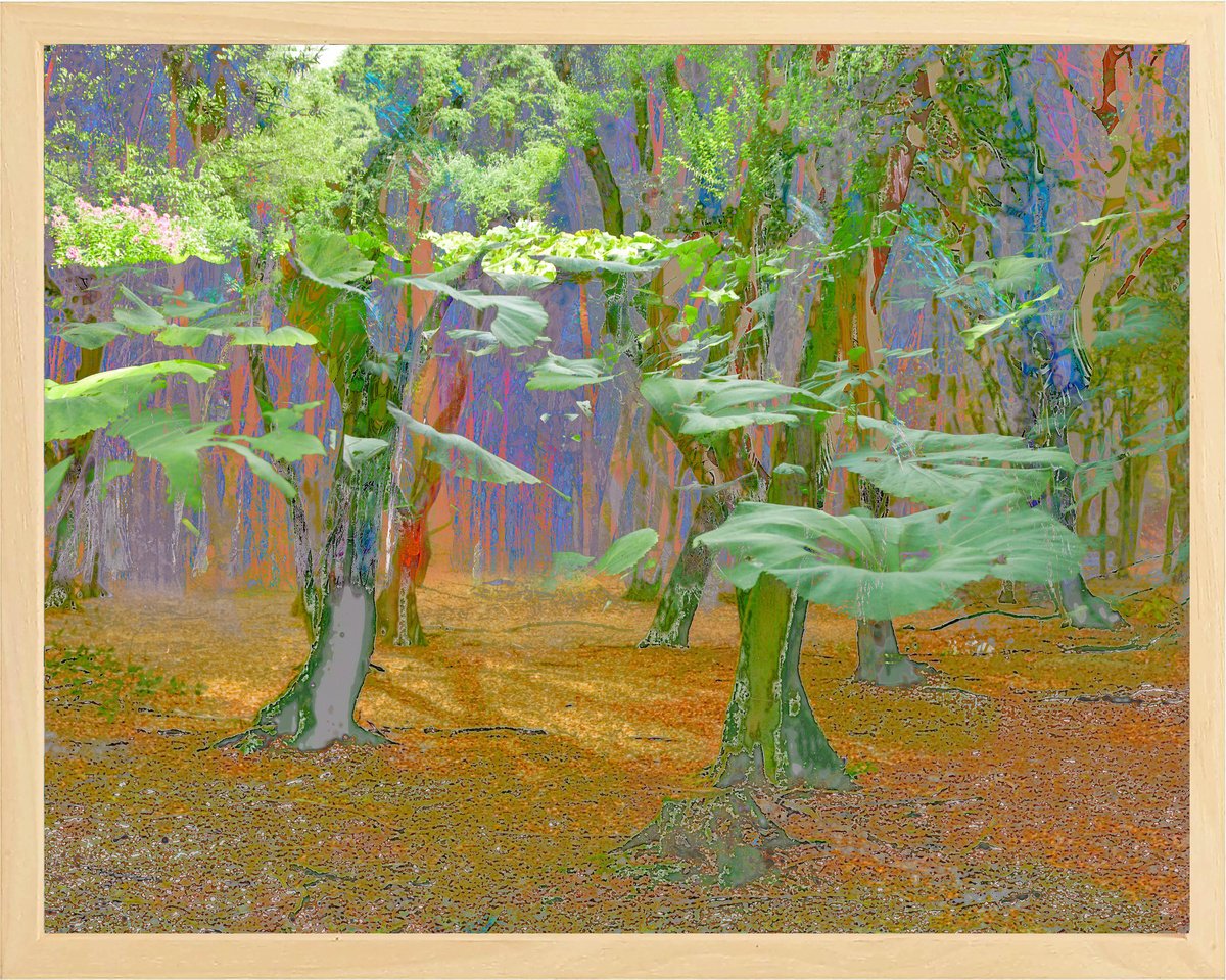 Mystifying forrest III_45 Photograph: Geert Lemmers FPA | Artfinder