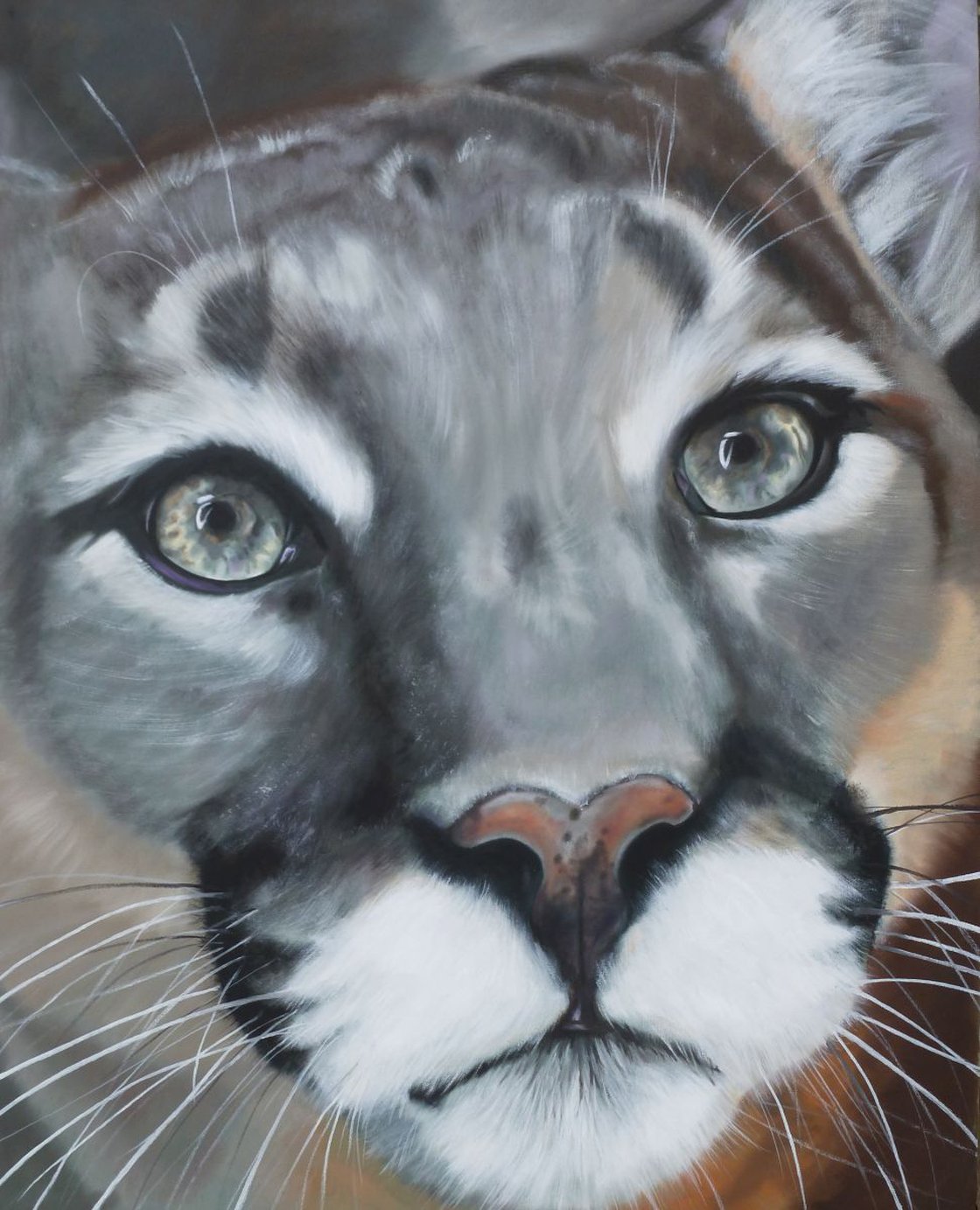 'Puma Portrait' Oil painting: Nicola Colbran