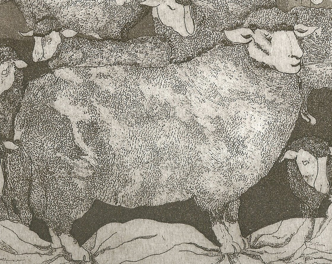 Counting Sheep Etchings & engravings: Jane Daniell | Artfinder