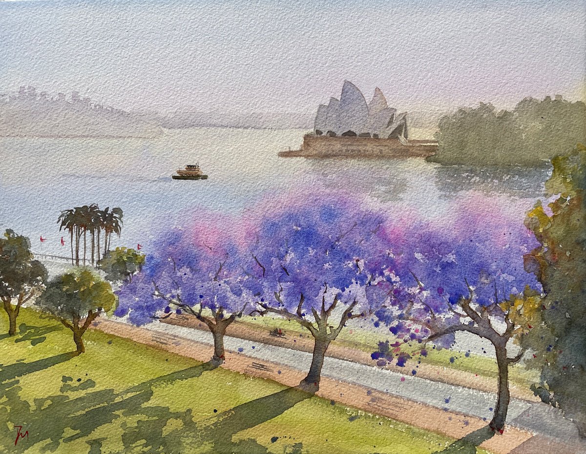 Sydney harbour - opera house with jacaranda Watercolour by Shelly Du ...