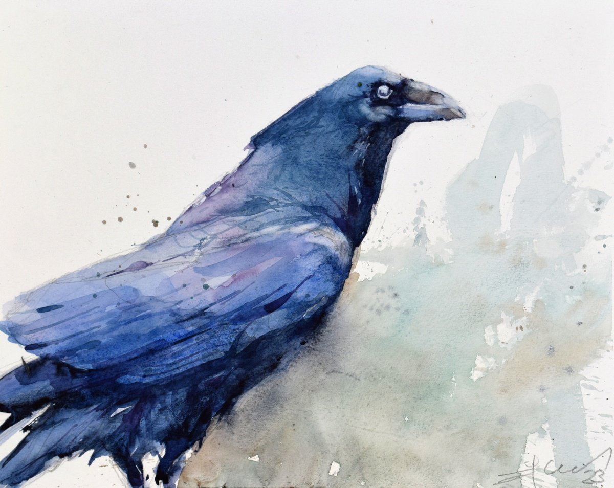 Raven Watercolour: Goran Žigolić Watercolors | Artfinder