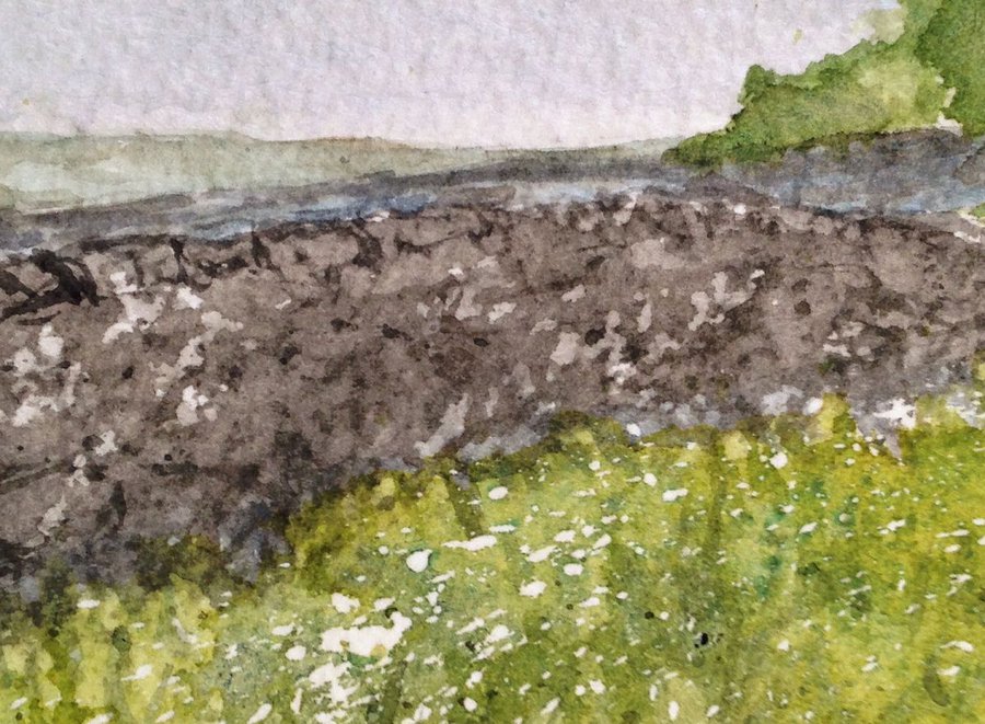 Cow Parsley Lane Watercolour by Lee Fidler | Artfinder