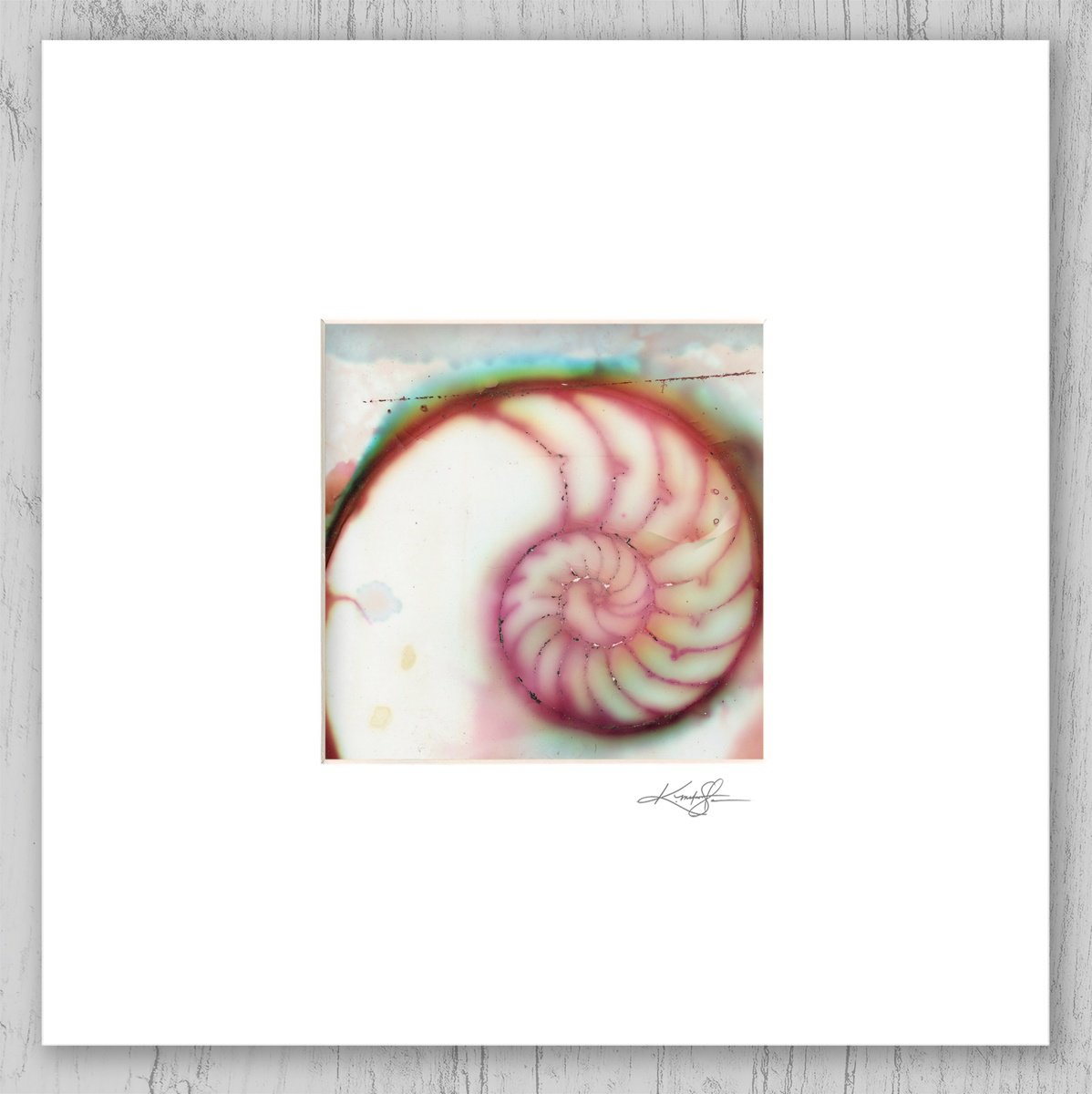 Nautilus Shell 1001 Mixed-media painting by Kathy Morton Stanion ...