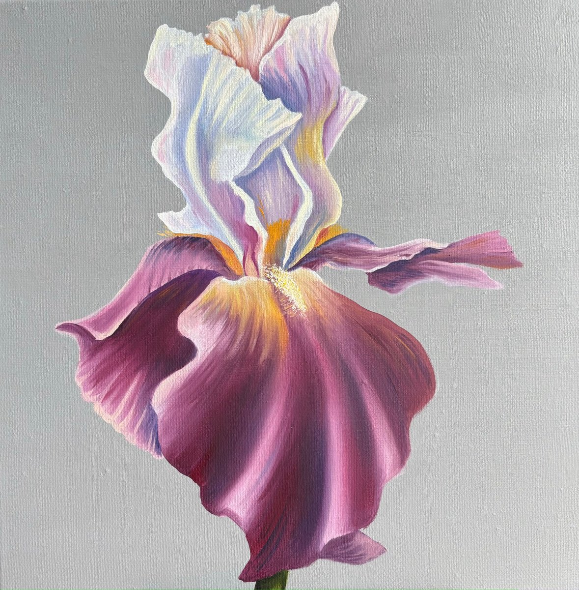 Miss Iris Oil painting: Daria Shalik | Artfinder