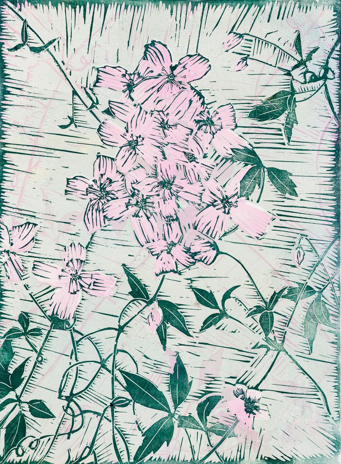 Clematis Montana Linocut: Danielle Stretch | Artfinder