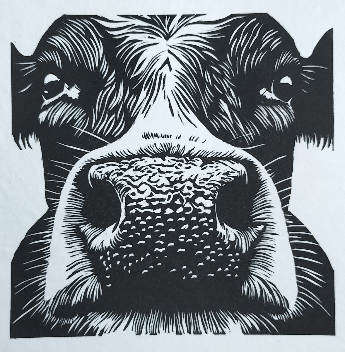 Moo-dy Cow Linocut by TARA SLATER | Artfinder