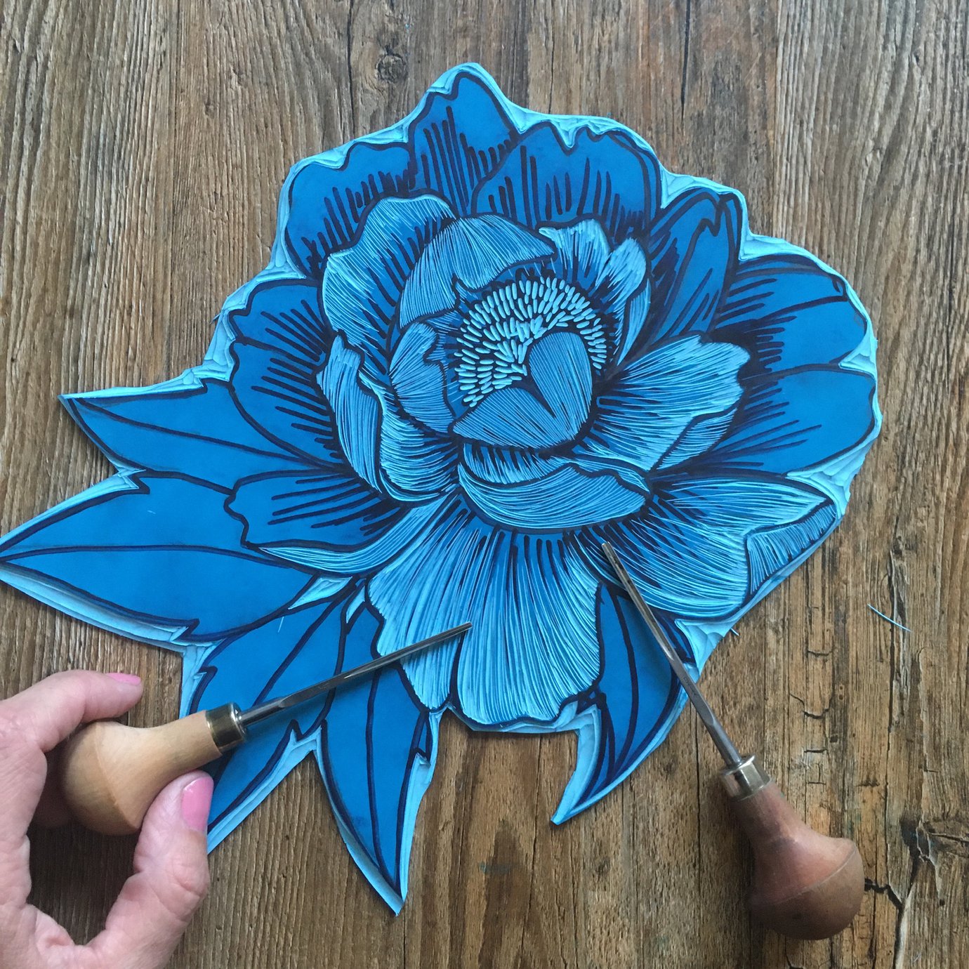 Amy Cundall - Latest from Artist Studio | Artfinder