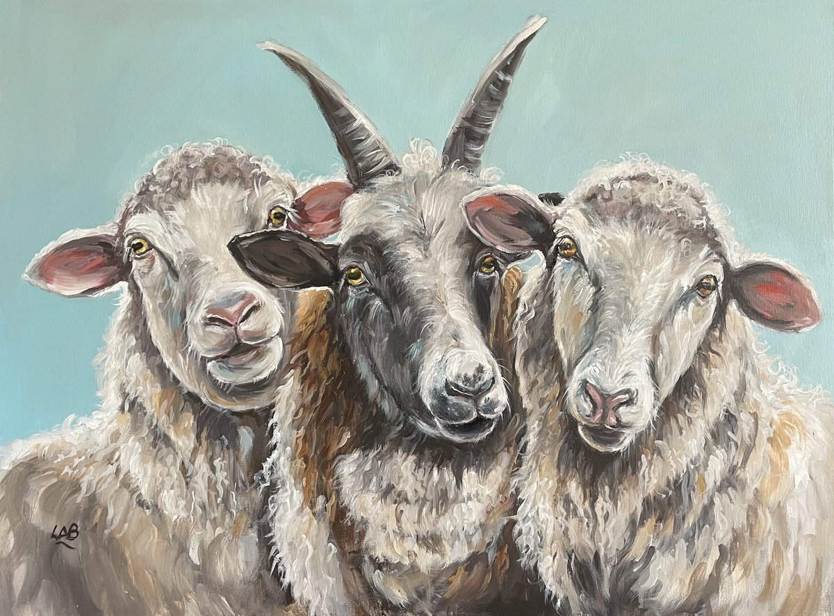 What Are Ewe Looking At ? Acrylic painting: Louise Brown | Artfinder