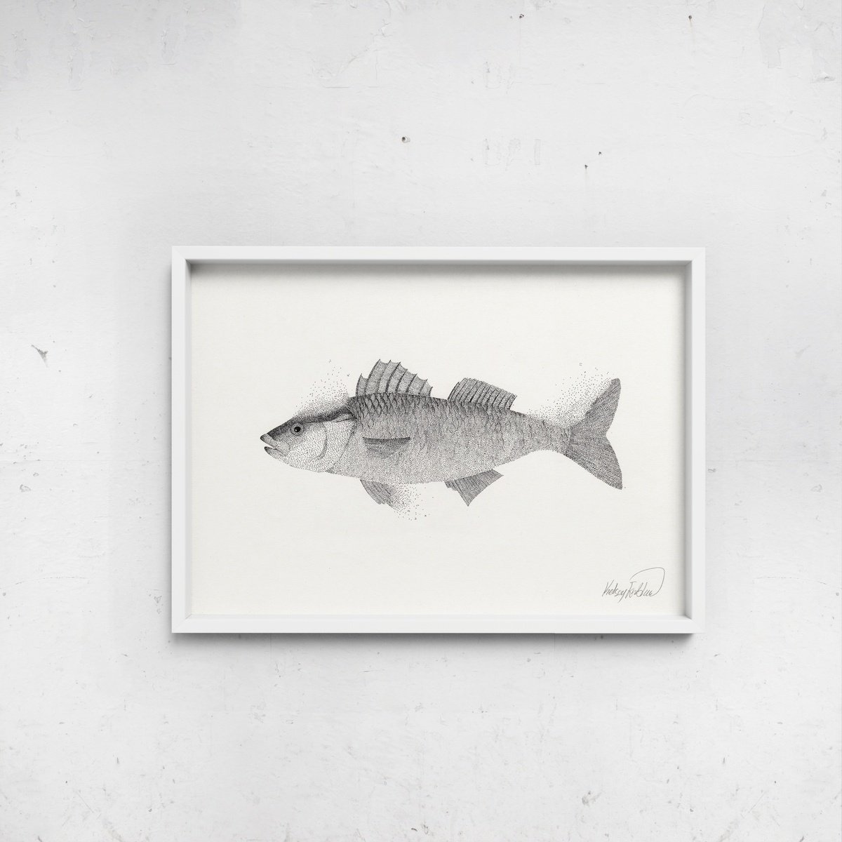Fish - Ink drawing on paper Ink drawing by Kelsey Emblow | Artfinder
