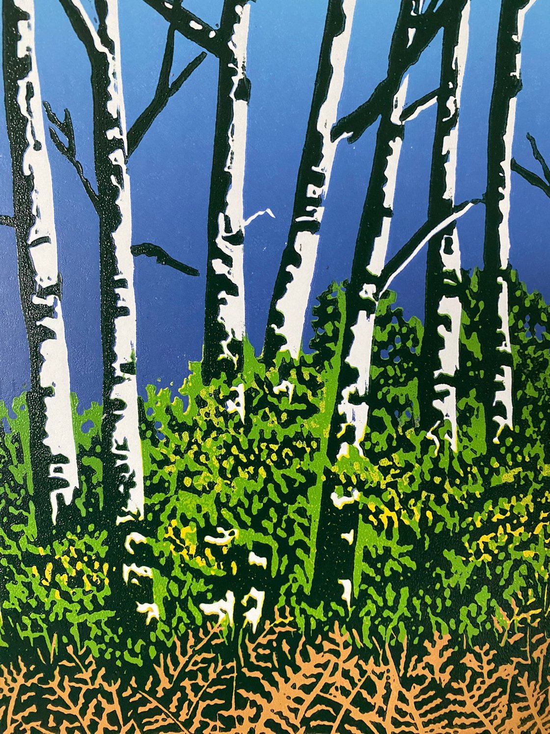 Silver Birch Trees Linocut: Shirley Watson | Artfinder