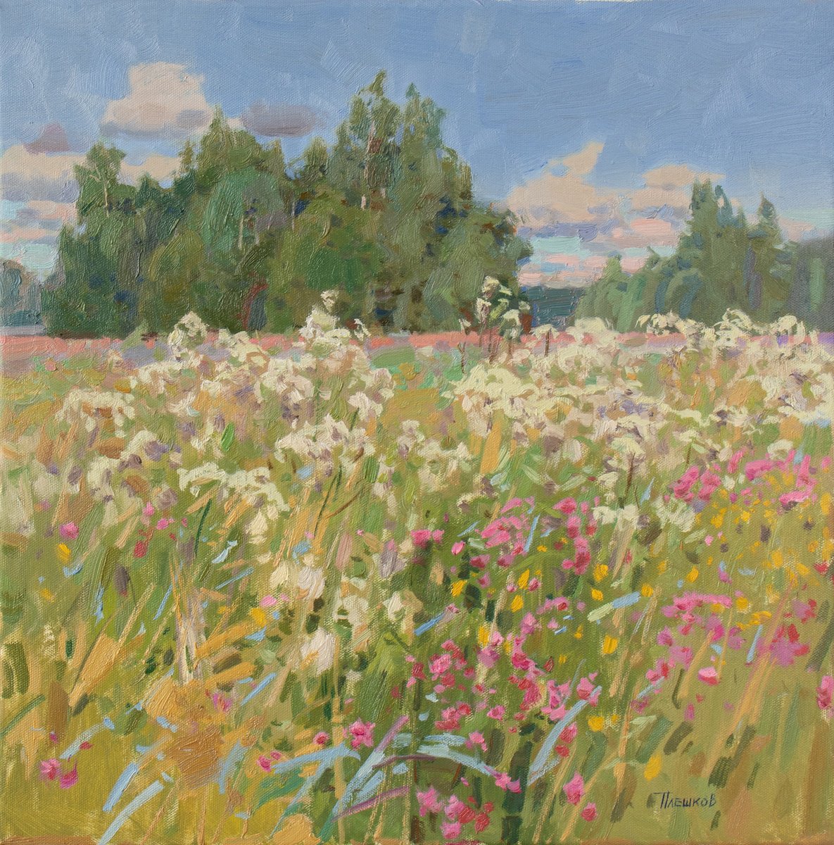August Grasses Oil painting: Alexey Pleshkov | Artfinder