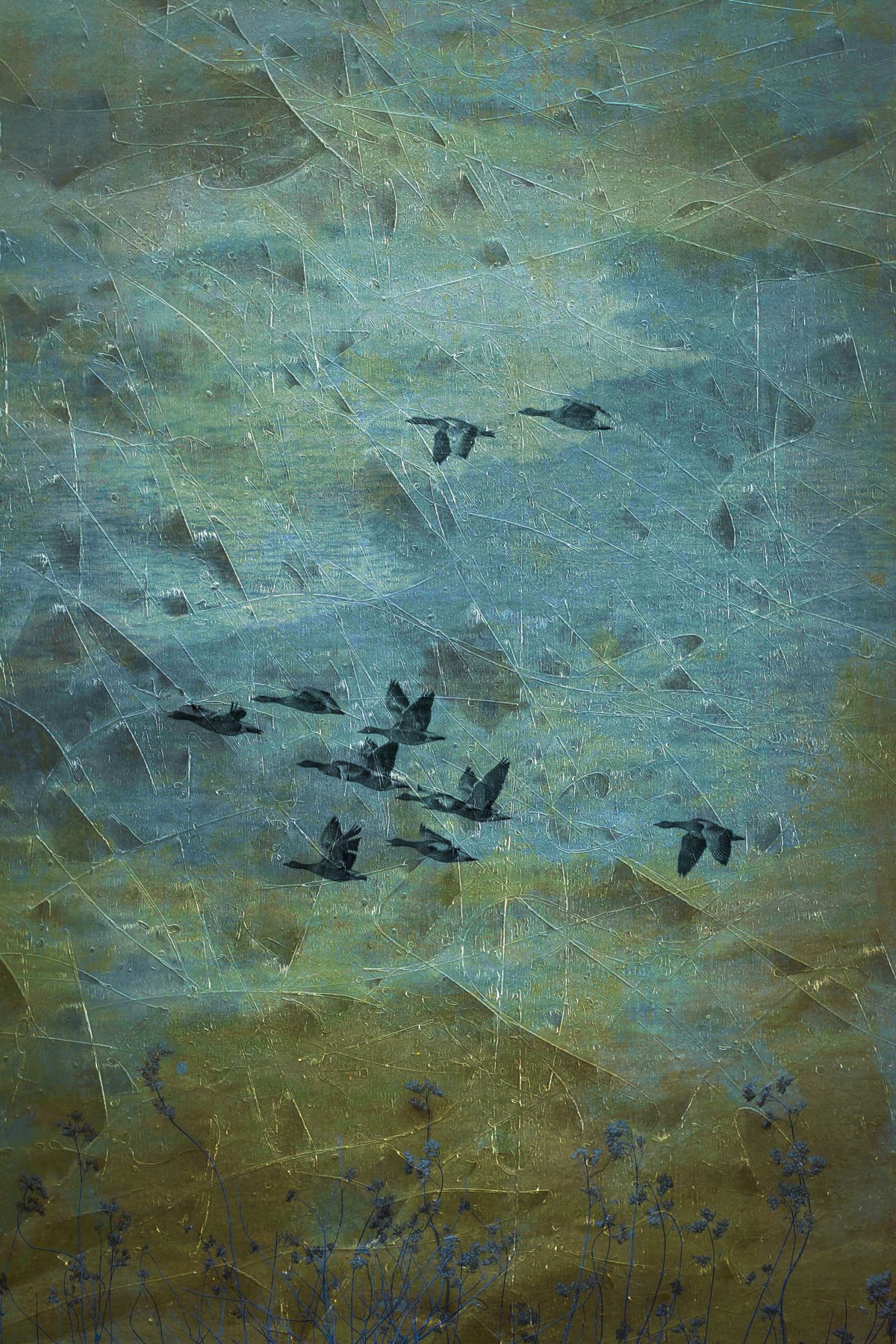 Fragility Photograph: Jaro Wave | Artfinder