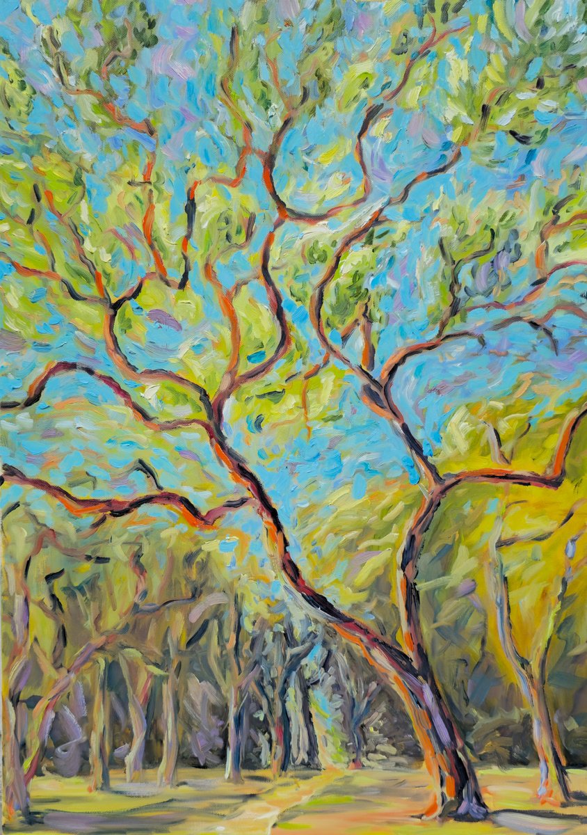 Original Oil Painting - Live Oak Grove by Alison Stevenson