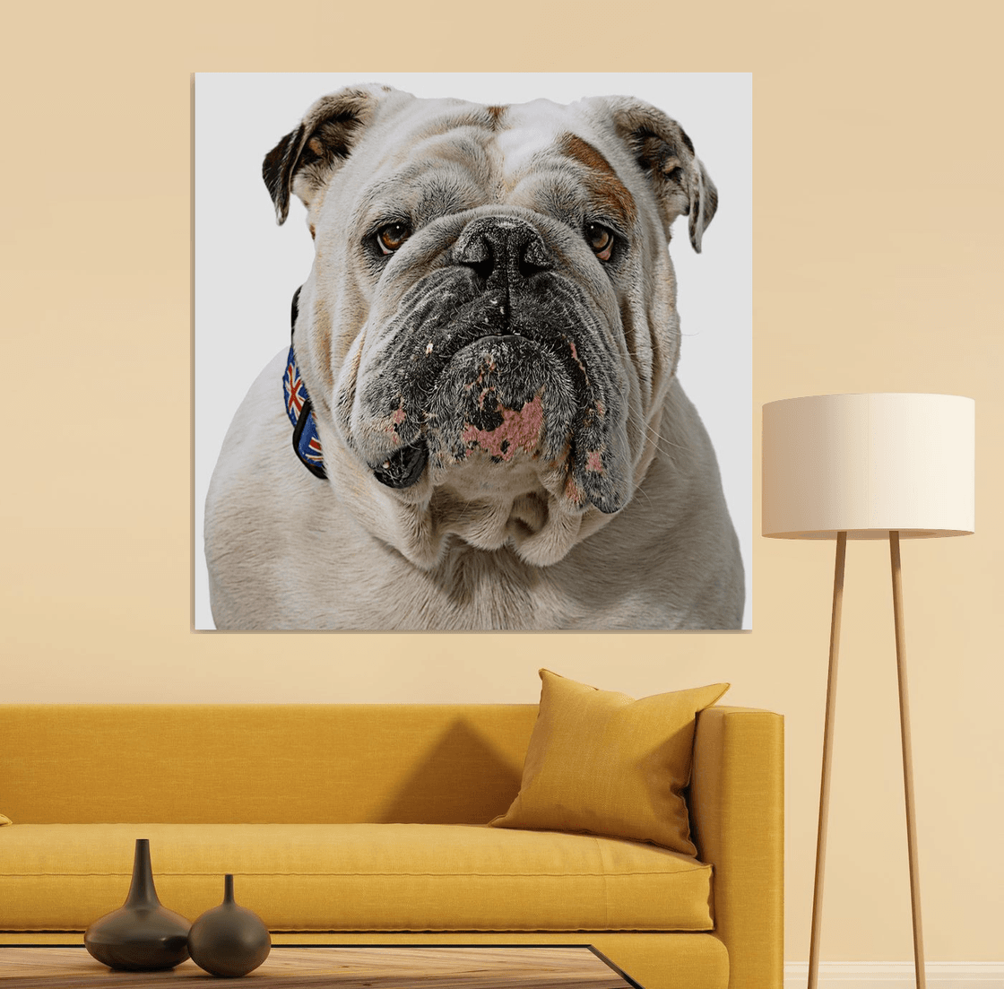 British Bulldog Photograph: Gandee Vasan | Artfinder