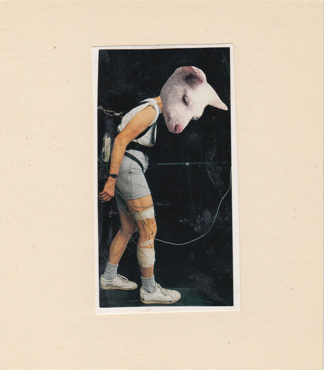 Dolly Collage by Jon Garbet | Artfinder