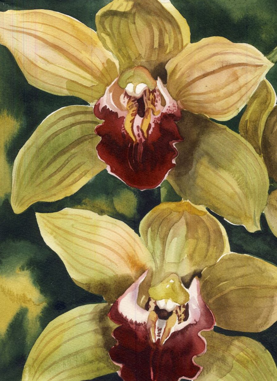 a touch of red Watercolour: Alfred Ng | Artfinder