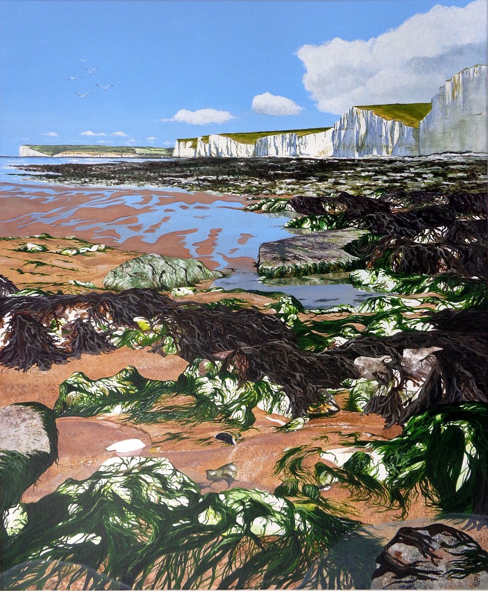 Chalk Ways and Rockpool Days Acrylic painting by Paula Oakley | Artfinder