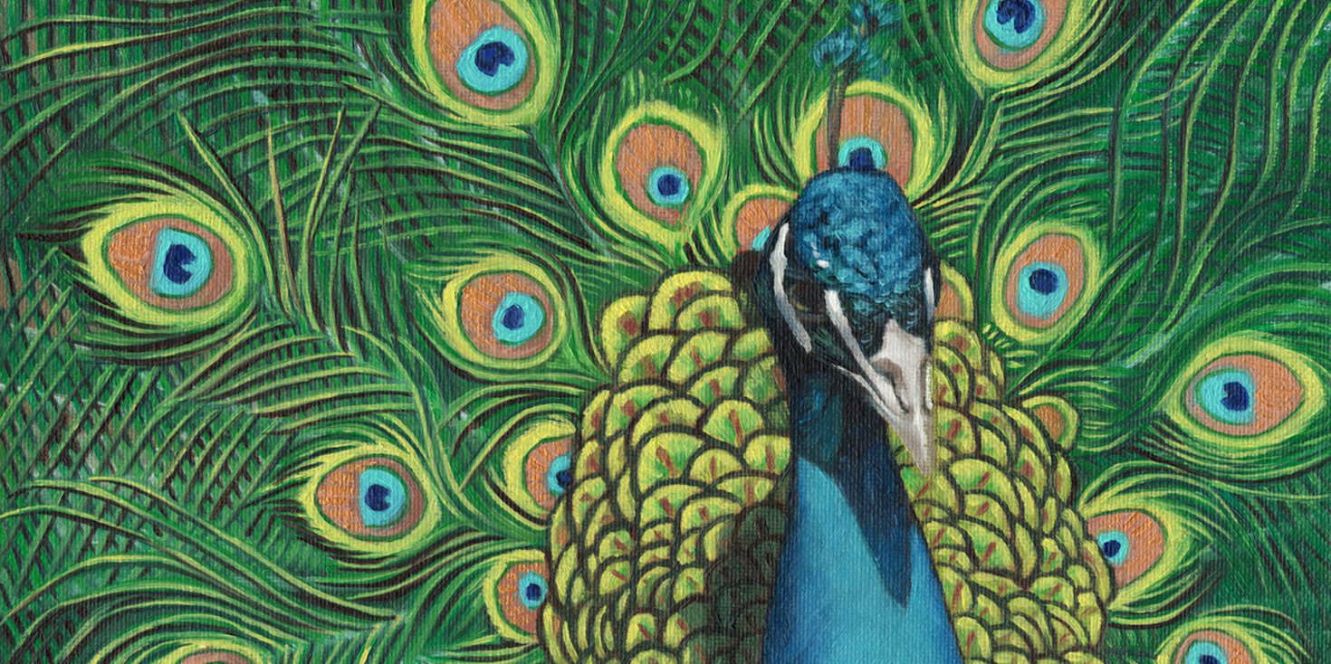 Beautiful Beasts | Artfinder