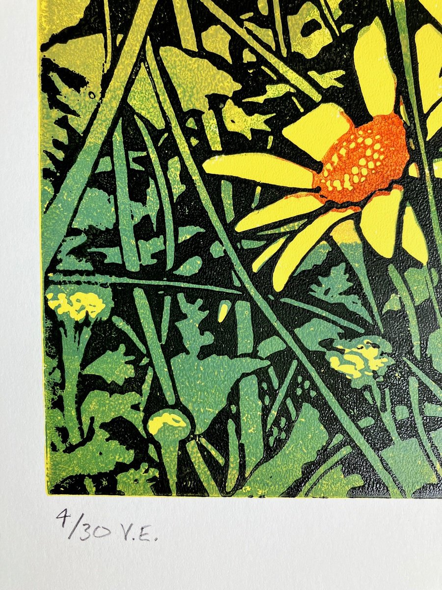 Black-eyed Susans Linocut: Susan Noble | Artfinder