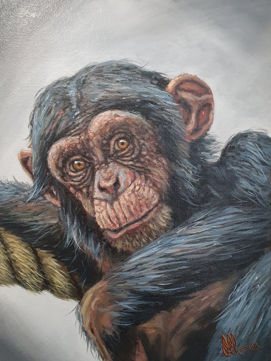 Timeless Eyes Acrylic painting by Joseph Charman | Artfinder