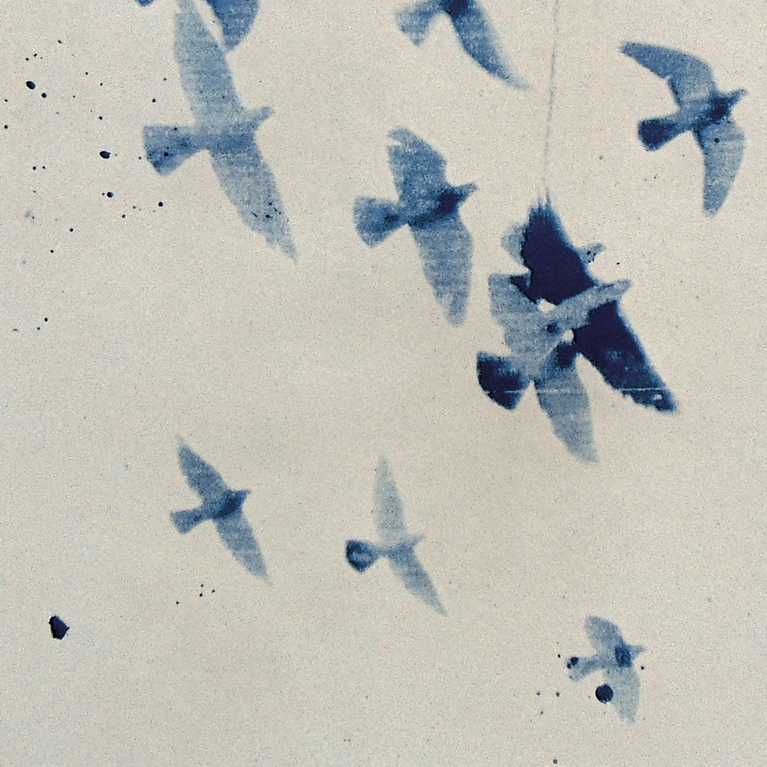Cyanotype_03_A3_Birds Print by Manel Villalonga | Artfinder