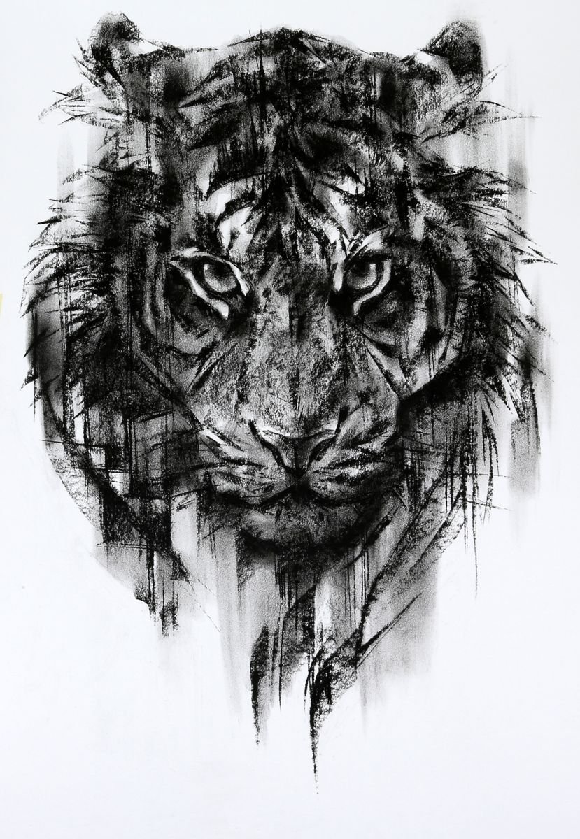 Tiger portrait Charcoal drawing by Tianyin Wang | Artfinder