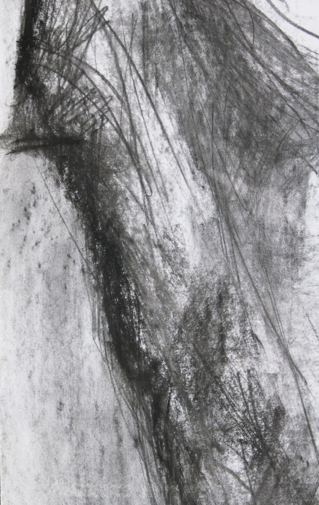 Easy Charcoal Drawing Ideas
